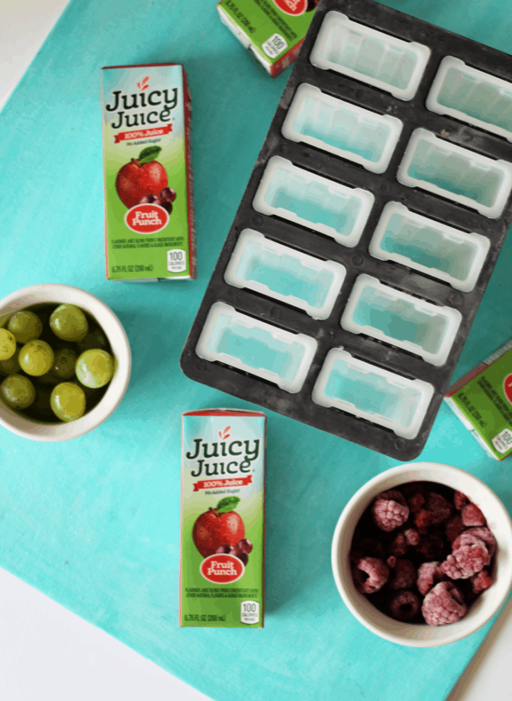Easy Fruit Ice Pops - The Shirley Journey