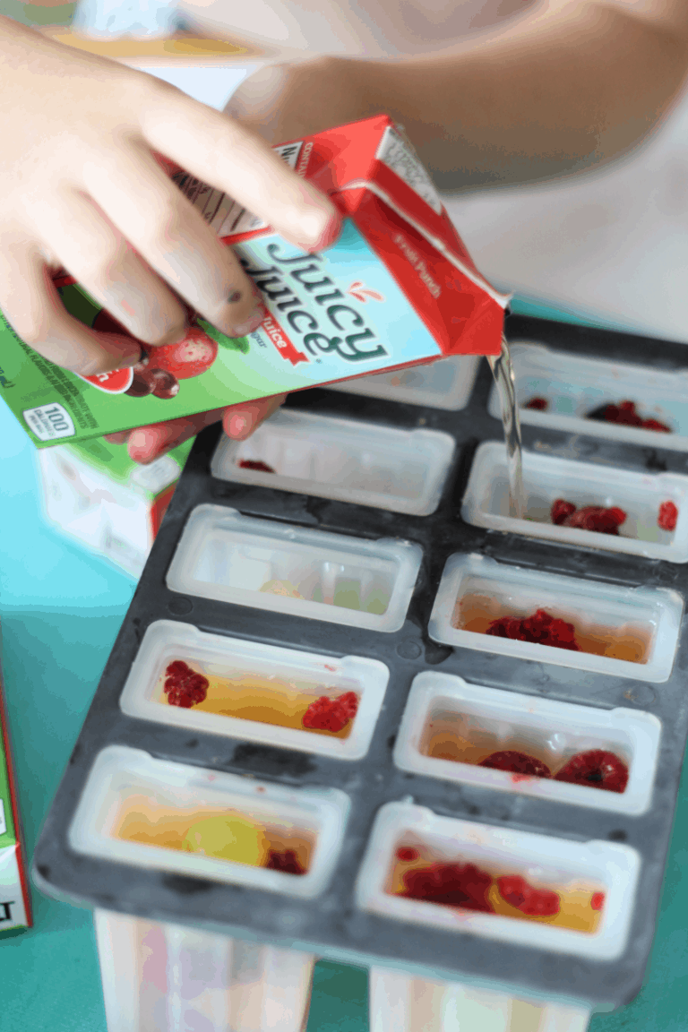 Easy Fruit Ice Pops - The Shirley Journey
