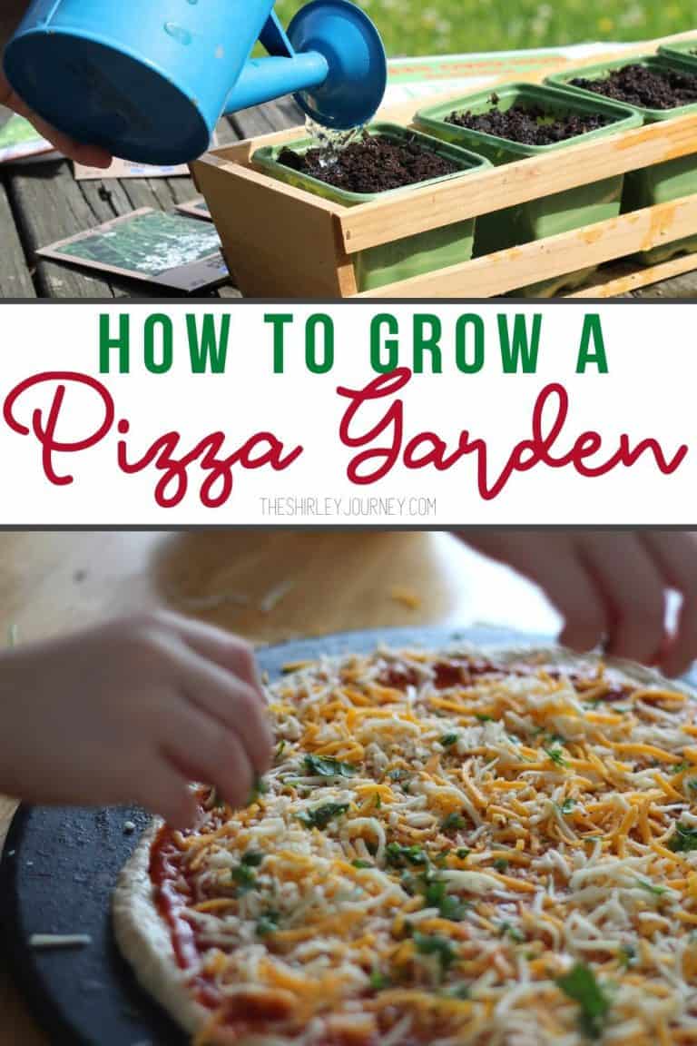 How to Grow a Pizza Garden - The Shirley Journey